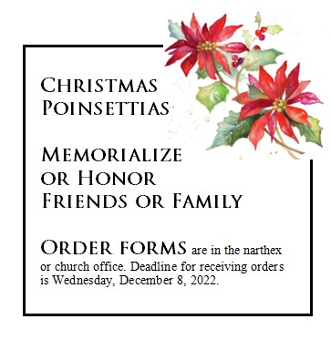 2022 Chancel Guild Poinsettia Sales | Kalamazoo First Presbyterian Church